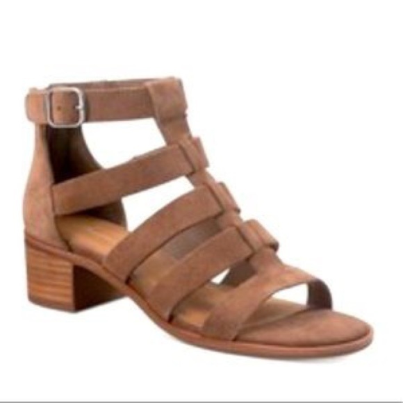 American Rag | Shoes | American Rag Sonia Gladiator Taupe Leather ...